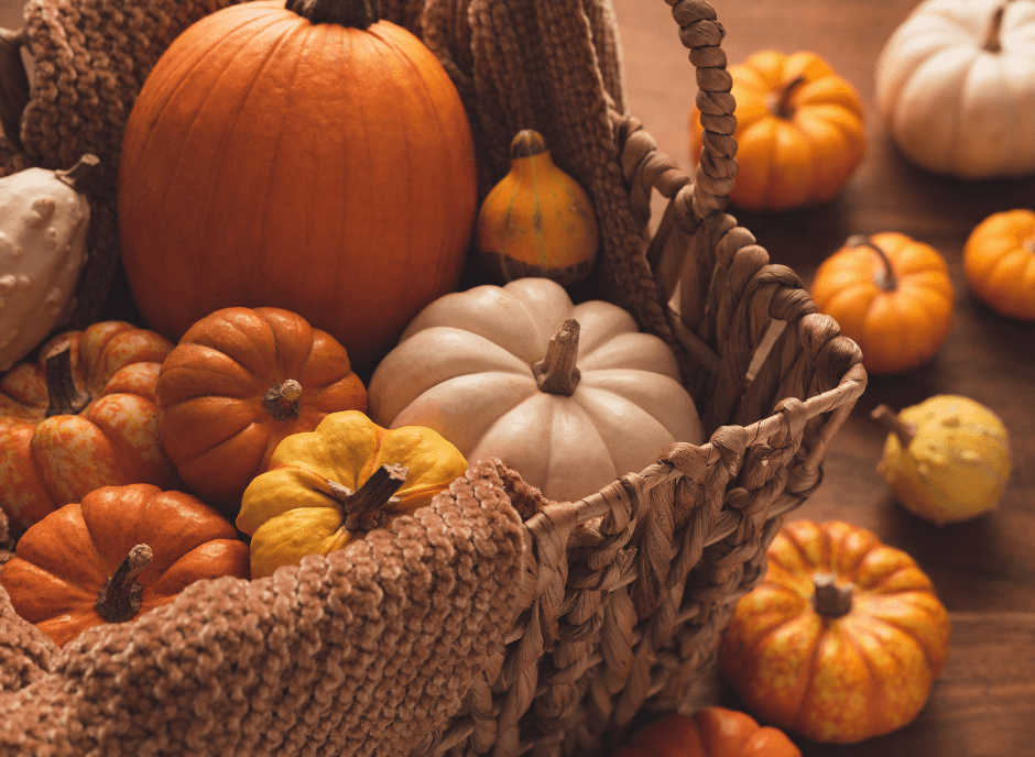 Everything You Need to Know About Pumpkin: A Kidney-Friendly Superfood ...